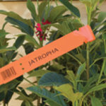 Thermal Slip On Tags - RFID – Specialty Tag