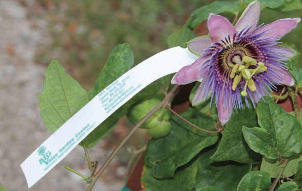 Laser Slip On Tags Superior – Specialty Tag