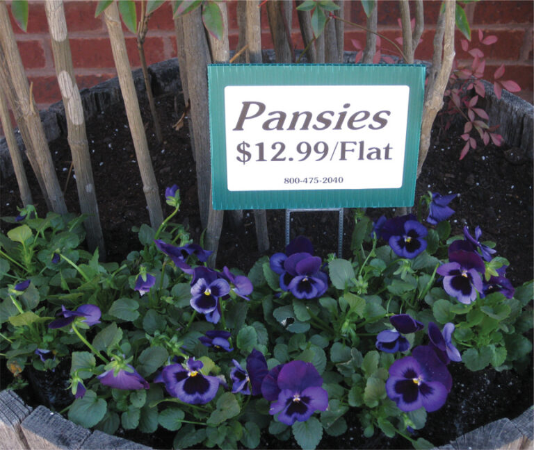 Parker Davis Signs – Specialty Tag