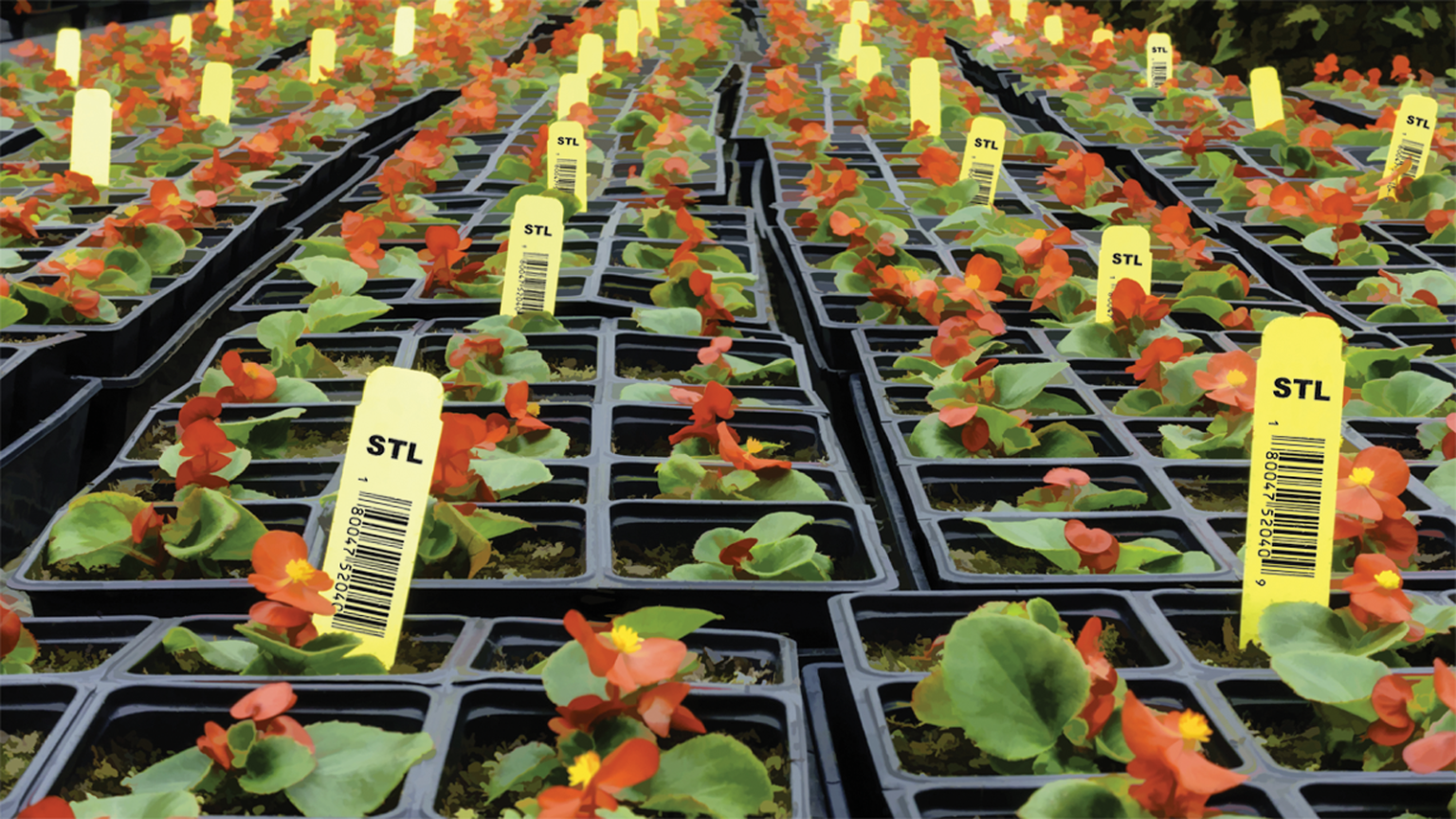 Thermal Pot Tags - RFID – Specialty Tag