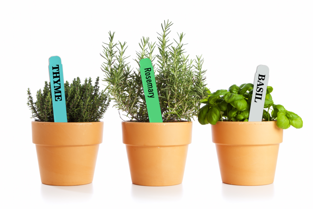 Thermal Pot Tags - MX Material – Specialty Tag